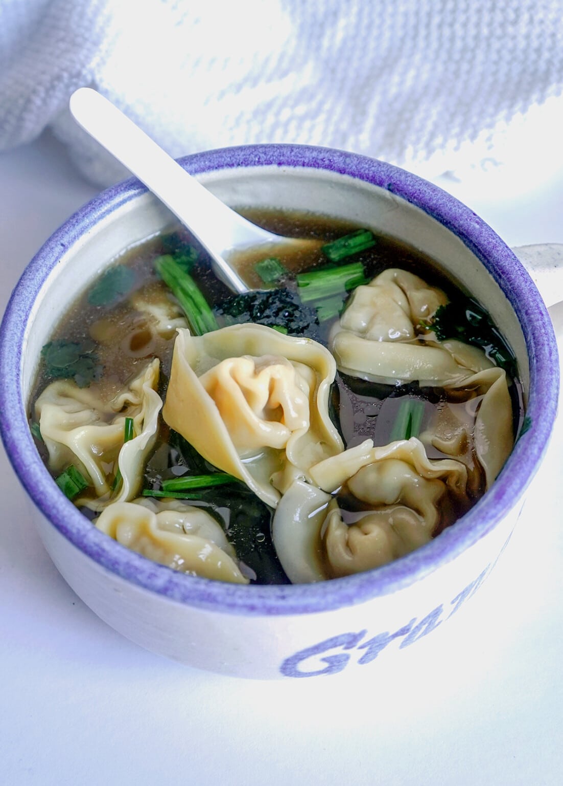 frozen dumpling wonton soup – The Skinny Pot