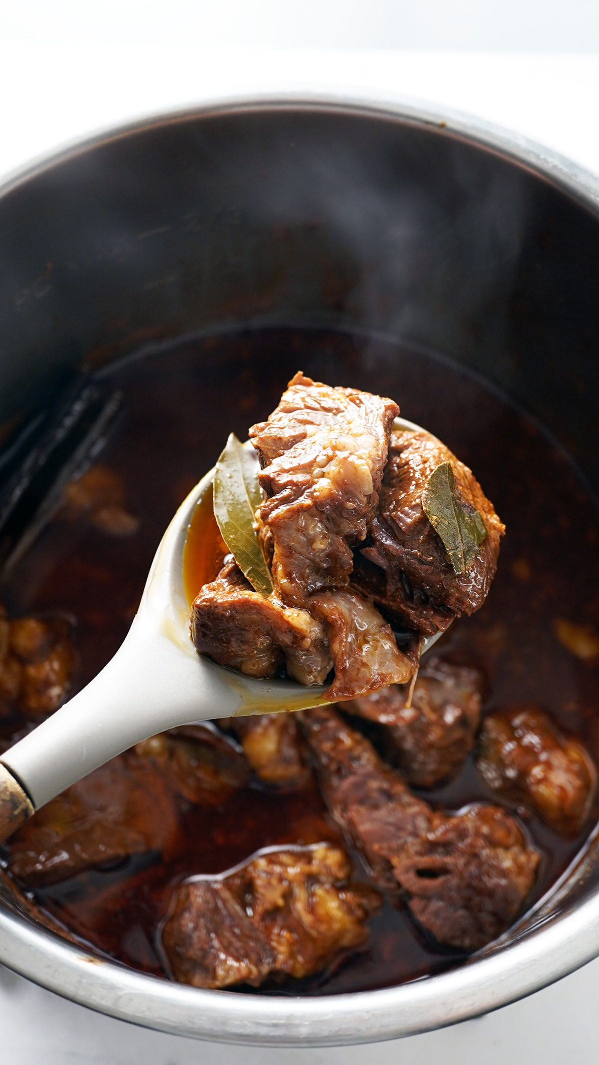 Instant Pot Birria Tacos – The Skinny Pot