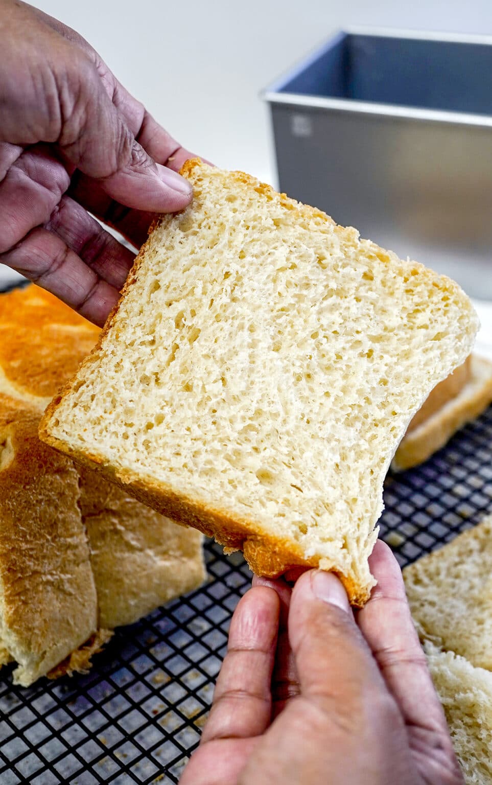 Japanese Milk Bread Shokupan Recipe – The Skinny Pot