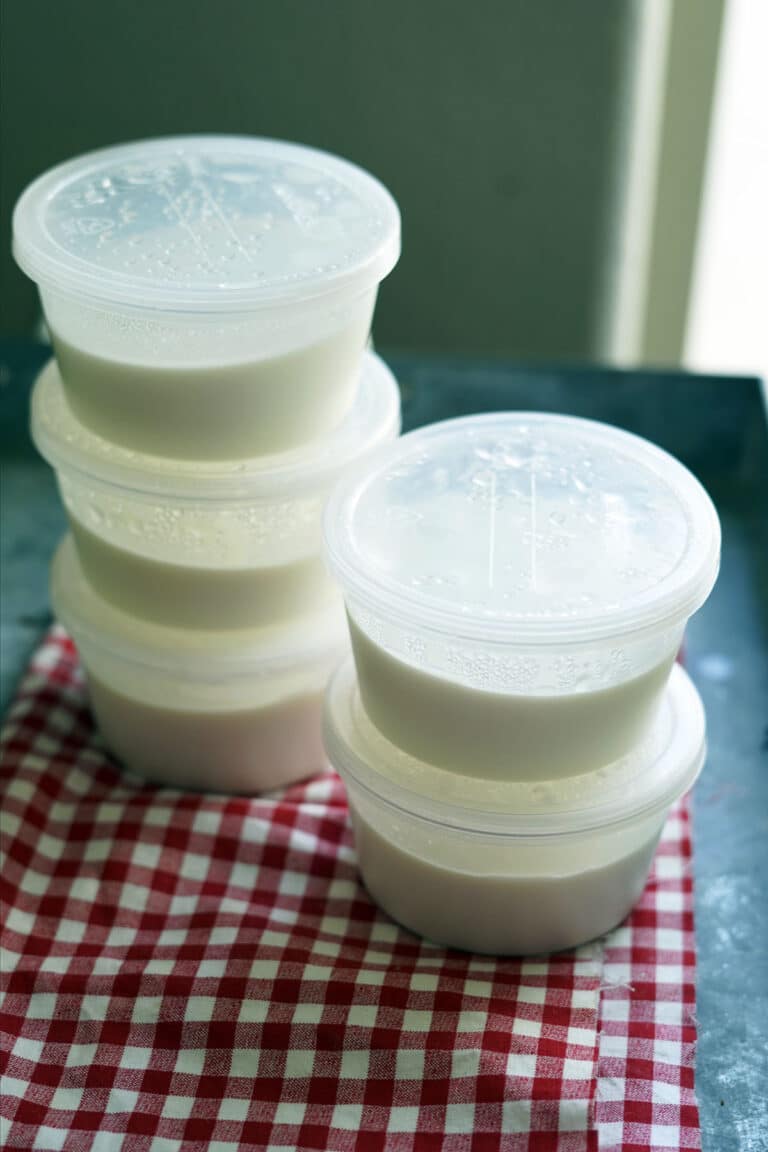 Homemade Yogurt Recipe – The Skinny Pot