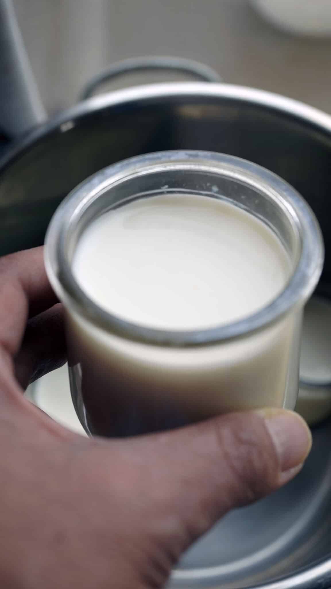 Homemade Yogurt Recipe – The Skinny Pot