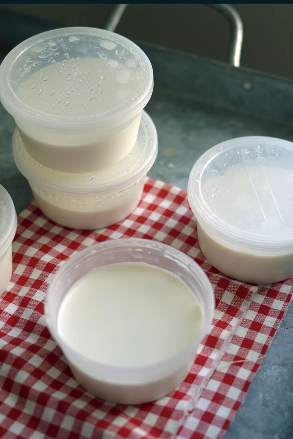 Homemade Yogurt Recipe – The Skinny Pot