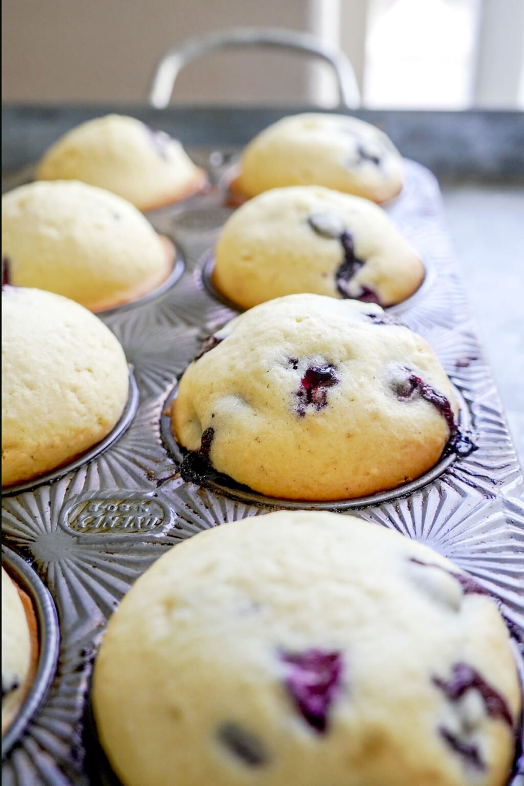 Easy Blueberry Muffin Recipe – The Skinny Pot