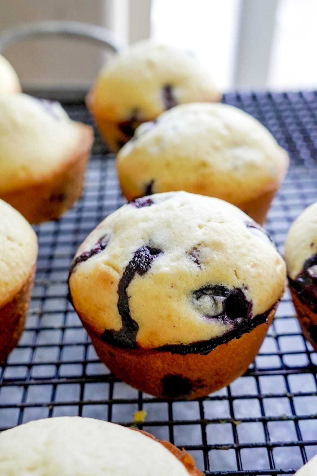 Easy Blueberry Muffin Recipe – The Skinny Pot