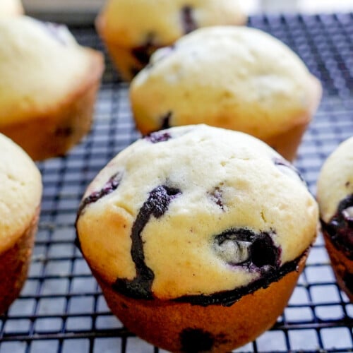Easy Blueberry Muffin Recipe – The Skinny Pot